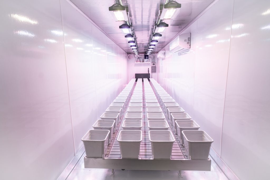 Customer Gallery - Marijuana Container Farming