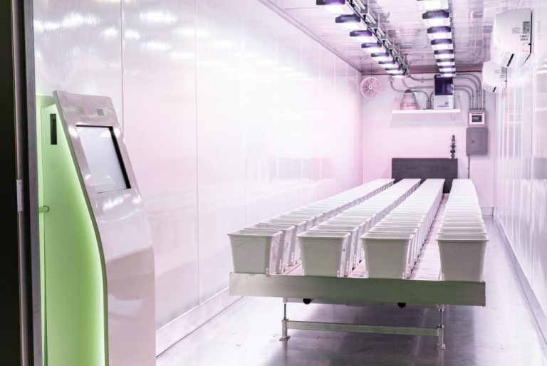 What Is Shipping Container Farming? - Marijuana Container Farming