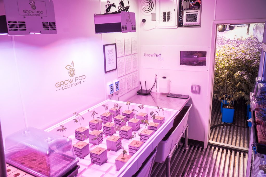 All About Marijuana Growing Systems - Marijuana Container Farming