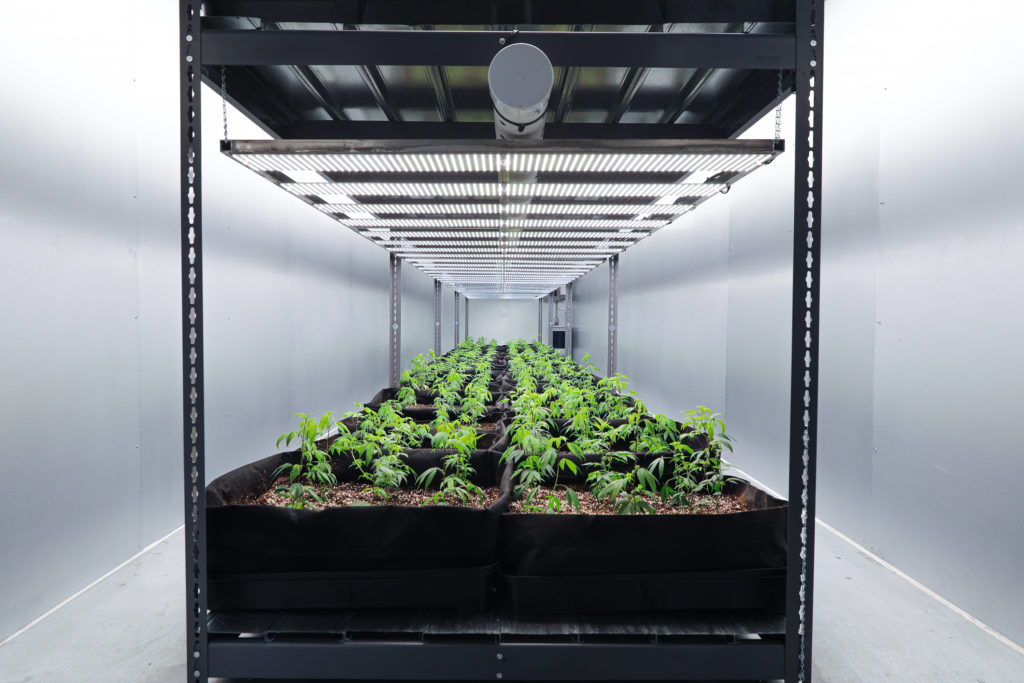 Investors and Cannabis Modular Farming - Marijuana Container Farming