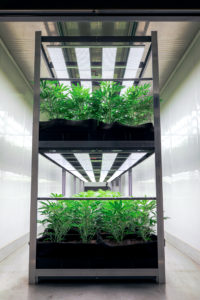 Customer Gallery - Marijuana Container Farming