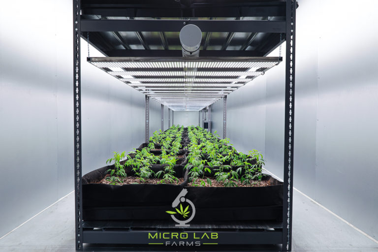 The Growing Appetite for Indoor Farming - Marijuana Container Farming